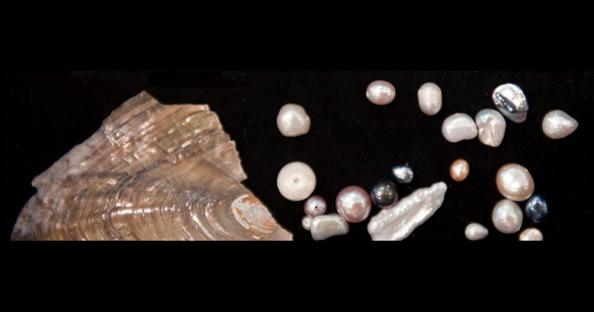 Pearl and its properties